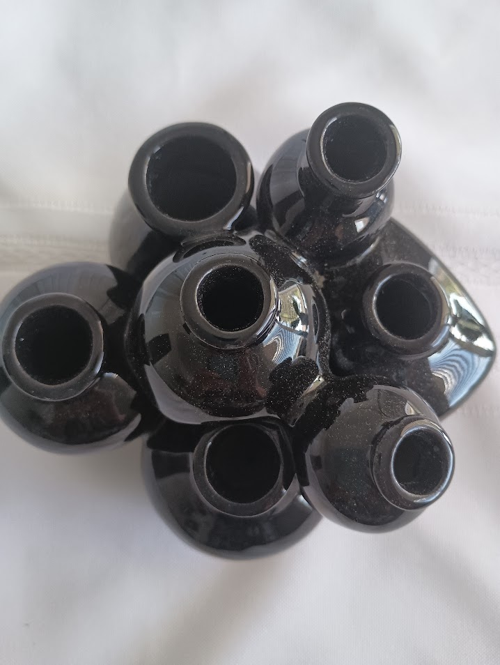 Through the Generations | Black Plant Propagation Station or Bud Vase ...